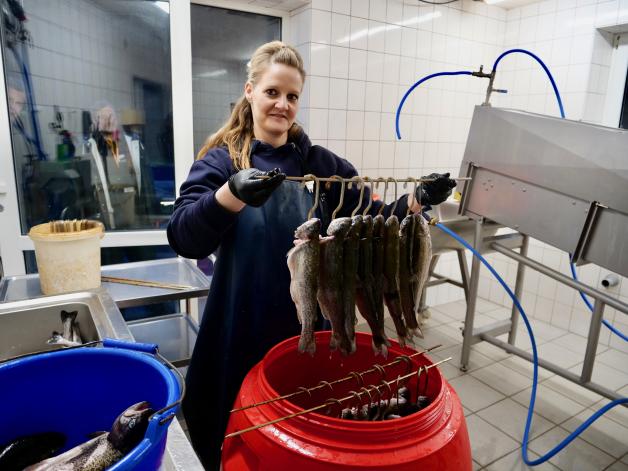 Viele Fotos: So arbeitet die Forellenzucht Dettmeyer in Bad Iburg