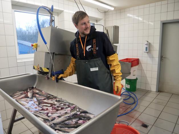 Viele Fotos: So arbeitet die Forellenzucht Dettmeyer in Bad Iburg