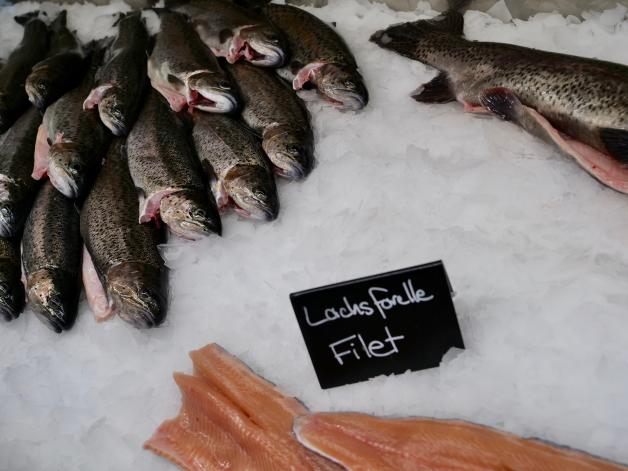 Viele Fotos: So arbeitet die Forellenzucht Dettmeyer in Bad Iburg