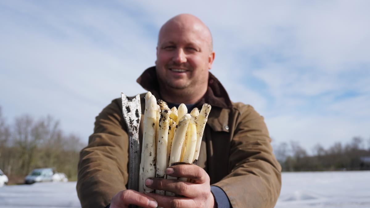 Das sagen Bauern über die Spargelsaison 2023