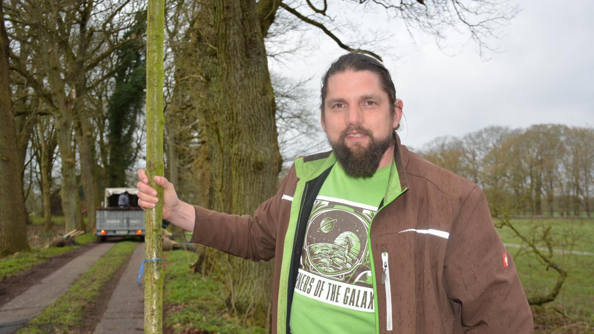 Mit neun neuen Eichen wurde die Allee in Arpsdorf ergänzt.