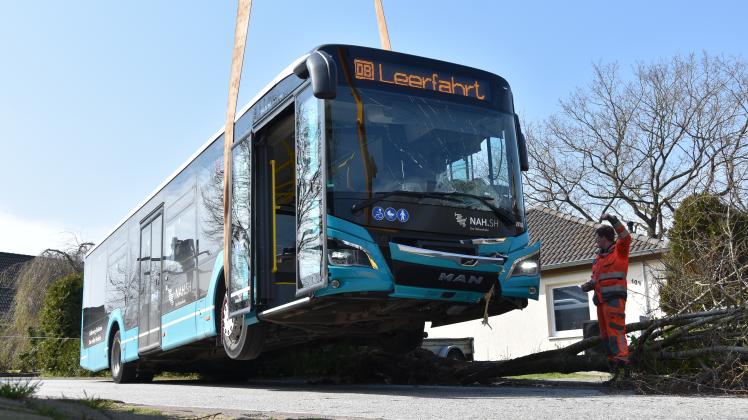 Unfall in Eutin: Bus kommt von Straße ab und überfährt Baum