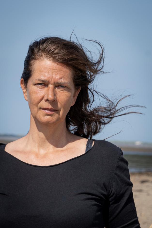 Wie geht es der gefährdeten Uferschnepfe auf Föhr?