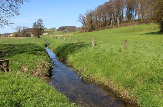 Aubach in Hilter soll renaturiert werden