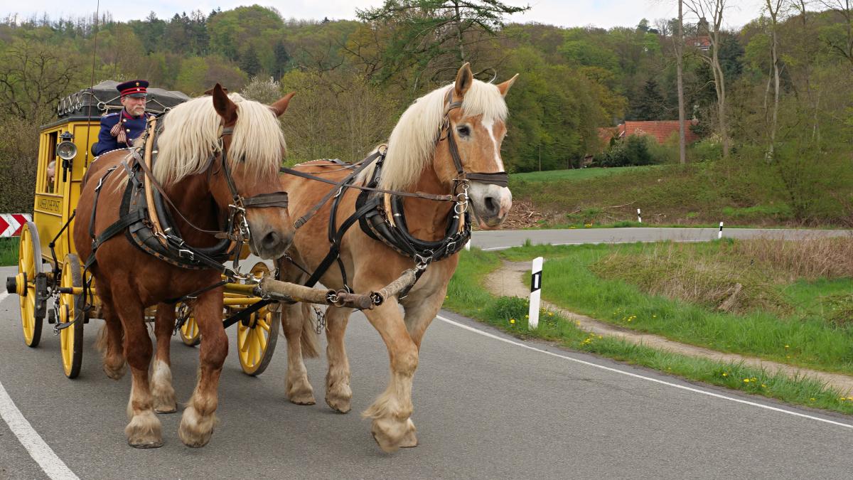 Historische Postkutsche Tecklenburg: Unterwegs wie vor 150 Jahren
