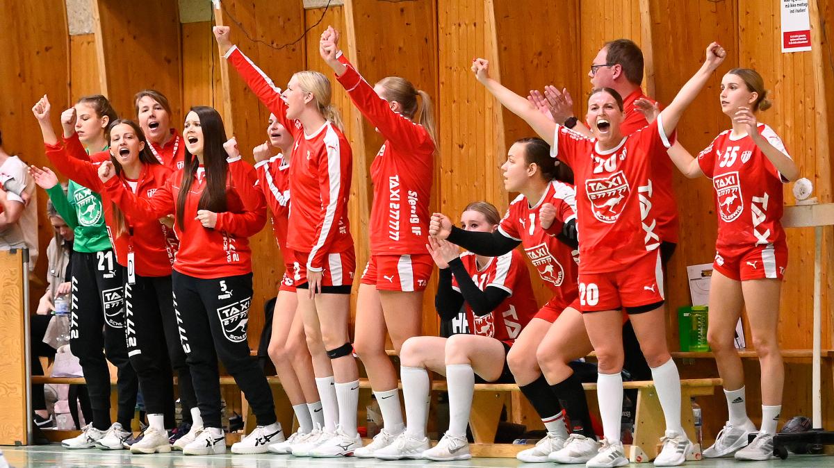 Handball-Oberliga: Schleswig IF besiegt Preetzer TSV | SHZ