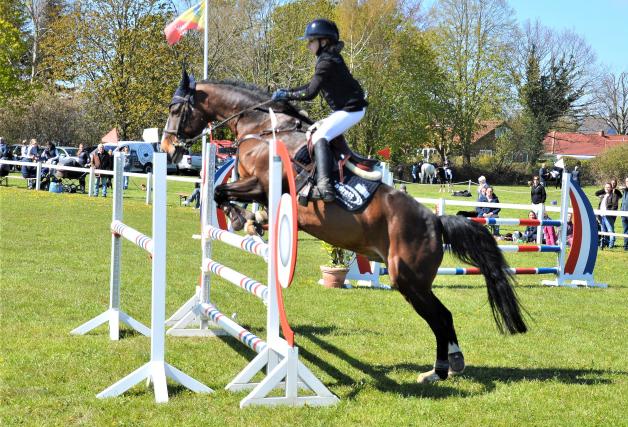 Reiten: Nachwuchsserie Schwansen-Cup 2024 startet im RC Damp