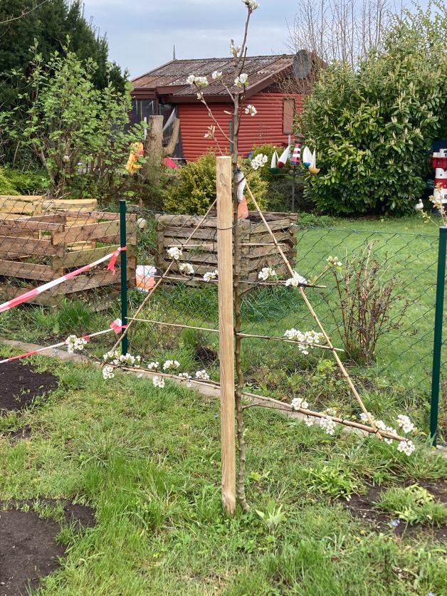 Zu Besuch in Barmstedt: Darum boomt das Kleingarten-Wesen