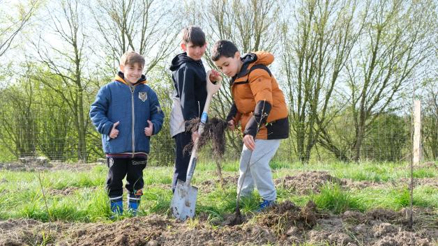 Klimawald in Schleswig: Schüler pflanzen die letzten Bäume
