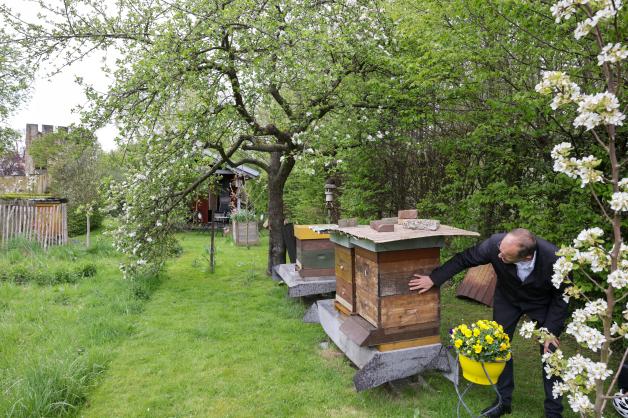Bistum Osnabrück: Bienen regen Ulrich Beckwermert zu Reformen an