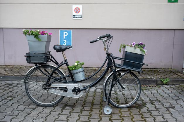 Dissen: So sieht es auf dem verlassenen Homann-Gelände aus