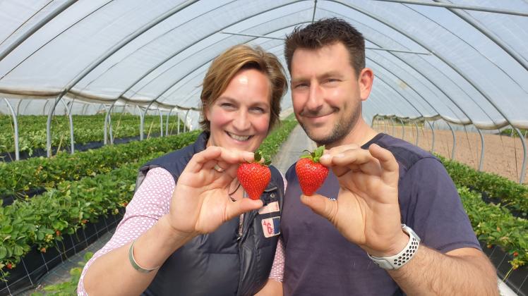 Die Erdbeer-Saison auf dem Ingenhof startet - wo verkauft wird