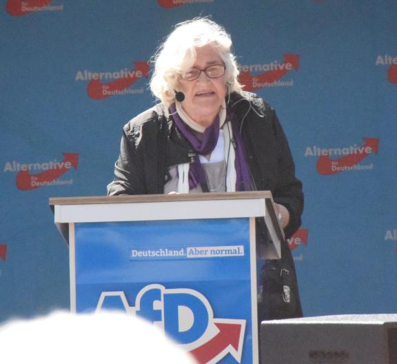 AfD-Kundgebung und Gegendemo: Lautstarkes Duell ohne Übergriffe - hier ...