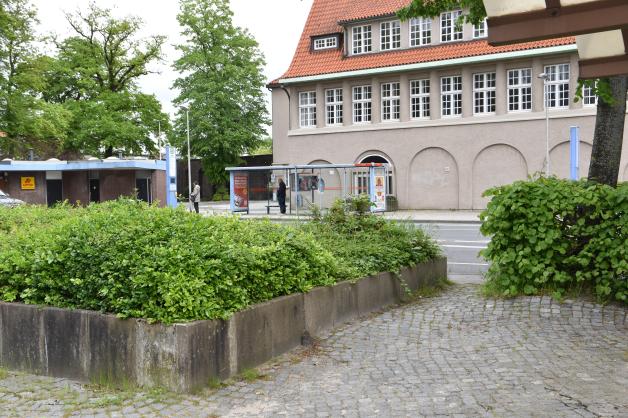 Warum das Delmenhorster Stadtoberhaupt 1953 in die Knie ging Warum das Delmenhorster Stadtoberhaupt 1953 in die Knie ging