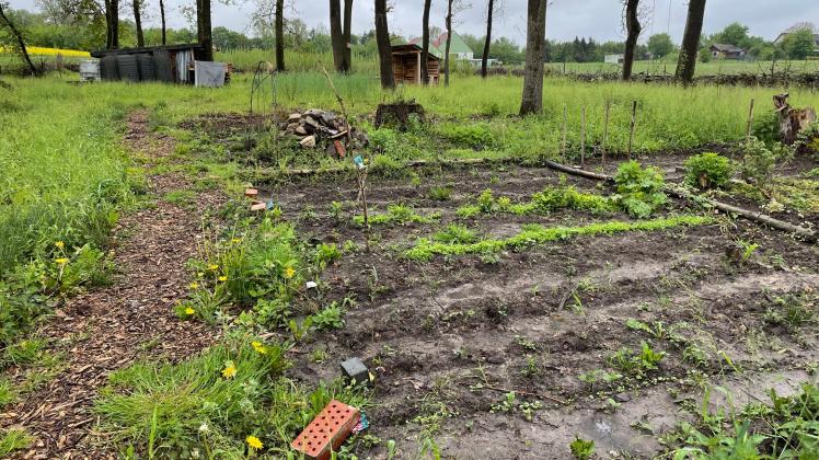 Daniel Vahle will Waldkita in Riemsloh (Melle) gründen