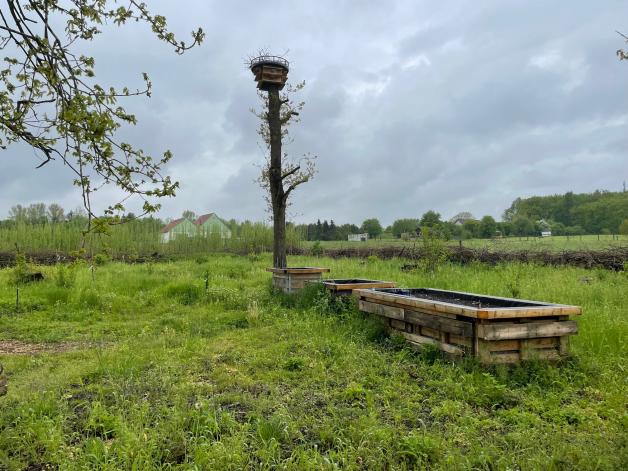 Daniel Vahle will Waldkita in Riemsloh (Melle) gründen