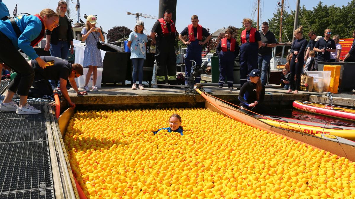Die Ente mit der Nummer 1210 gewinnt Eckernförder Entenrennen