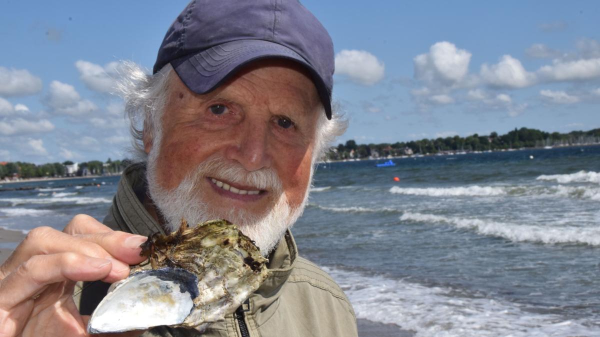 Strandspaziergänger Carsten Schmidt findet Pazifische Auster