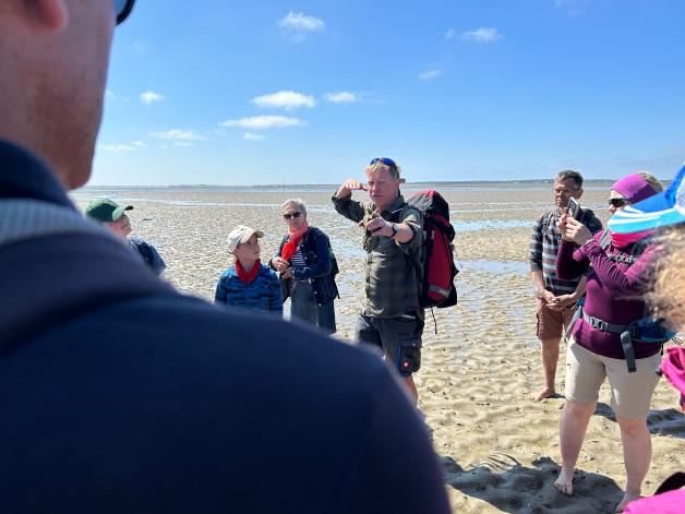 Von Amrum nach Föhr: Die härteste Wattwanderung der Nordsee