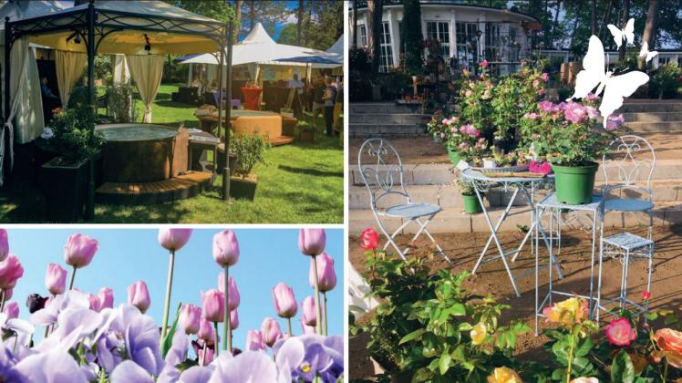 Timmendorfer Strand: Messe „Garten & Style“ startet im Strandpark