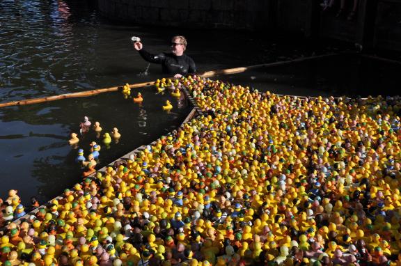 Das traditionelle Glückstädter Entenrennen in Bildern