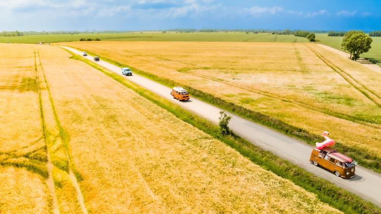 Midsummer Bulli Festival: Verkehrstipps der Polizei für Besucher