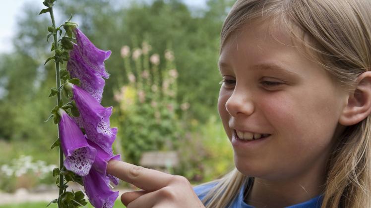Giftpflanzen in Gärten im Kreis Pinneberg