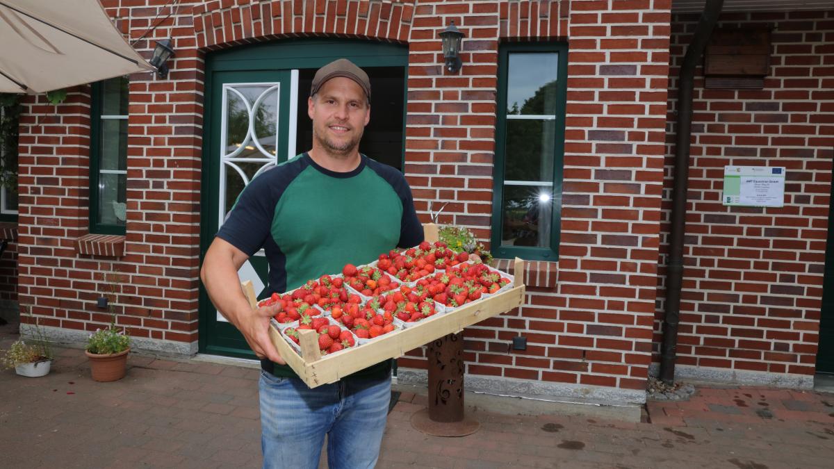 Haselau: Obsthof Plüschau kämpft mehr mit Preisen als Trockenheit