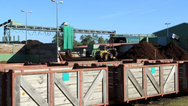 Torf-Abbau in NIedersachsen: Umweltskandal im Naturschutzgebiet?