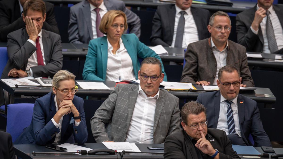 Gendern: AfD greift Bundestag an und fordert Sprachsensibilität
