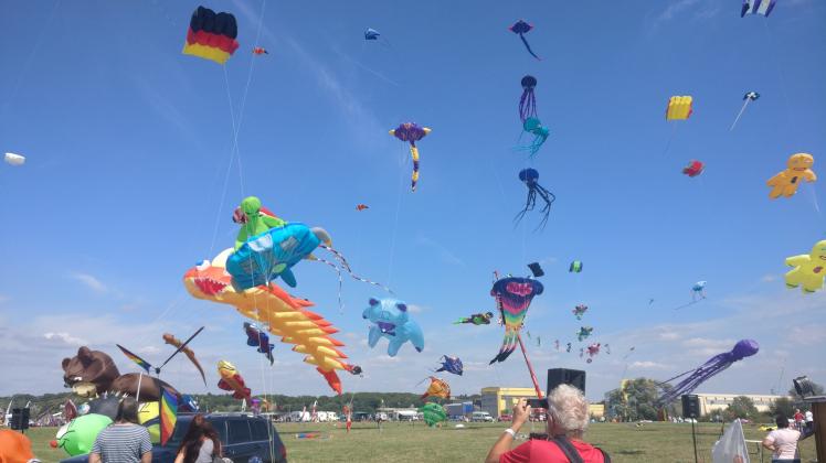 Das Hat Das Drachenfest 2024 In Lemwerder F r Besucher Zu Bieten