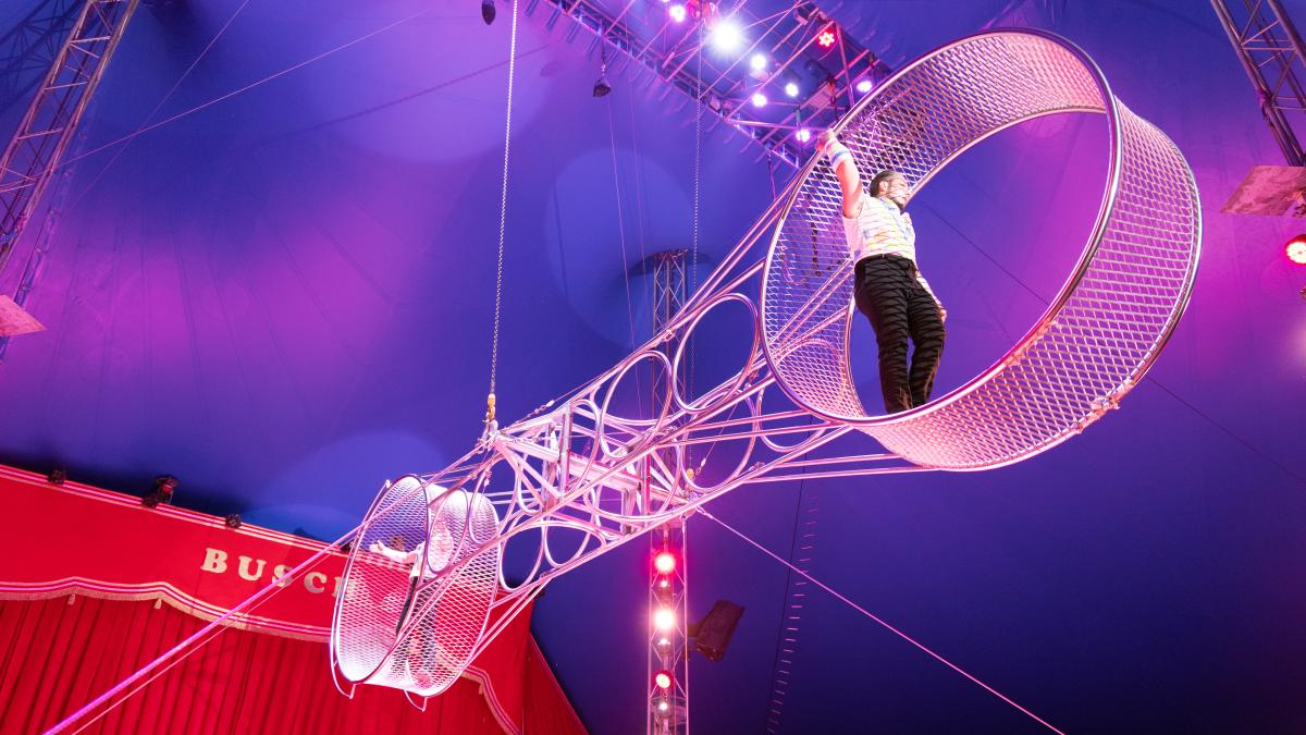 Circus Paul Busch in Neumünster - so war die Premiere