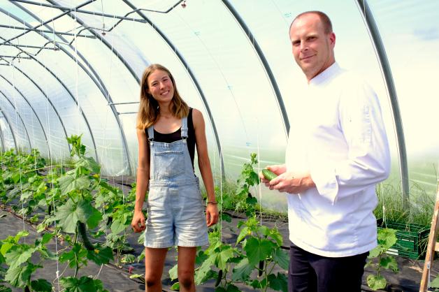Hörup: Springflut Festival 2023 startet am 5. Juli