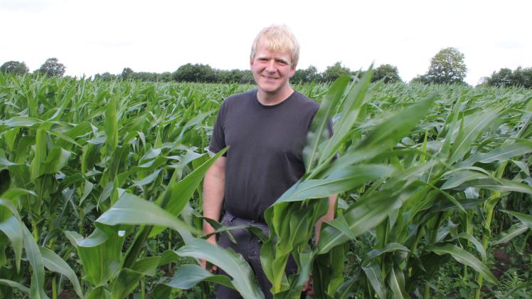 Landwirt in Friedrichsholm: Rettet der Regen die Ernte? | SHZ