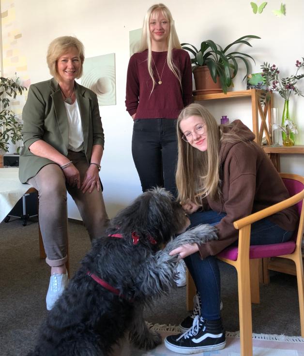 Goldendoodle Jessy ist Schulhund an der GMS in Kellinghusen