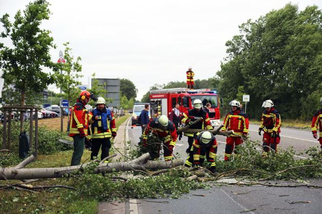 Boostedter Strasse Neumnster