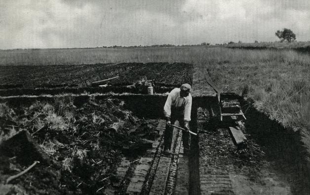 Torf-Abbau in NIedersachsen: Umweltskandal im Naturschutzgebiet?