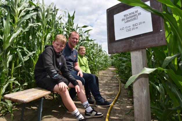 Maislabyrinth in Iserloy: Das bietet die Freizeitaktivität 2023