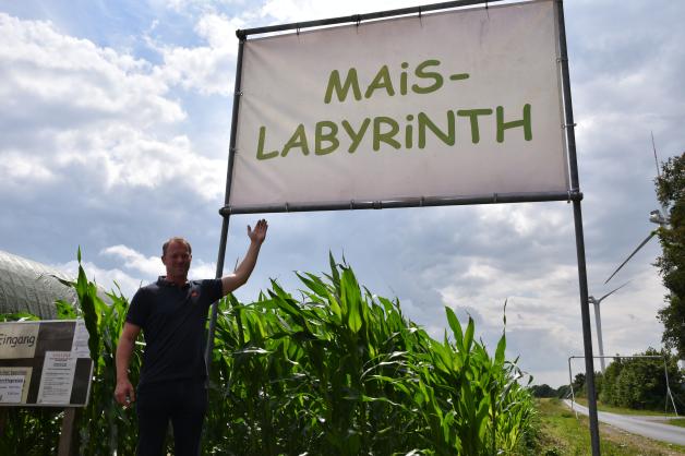 Maislabyrinth in Iserloy: Das bietet die Freizeitaktivität 2023