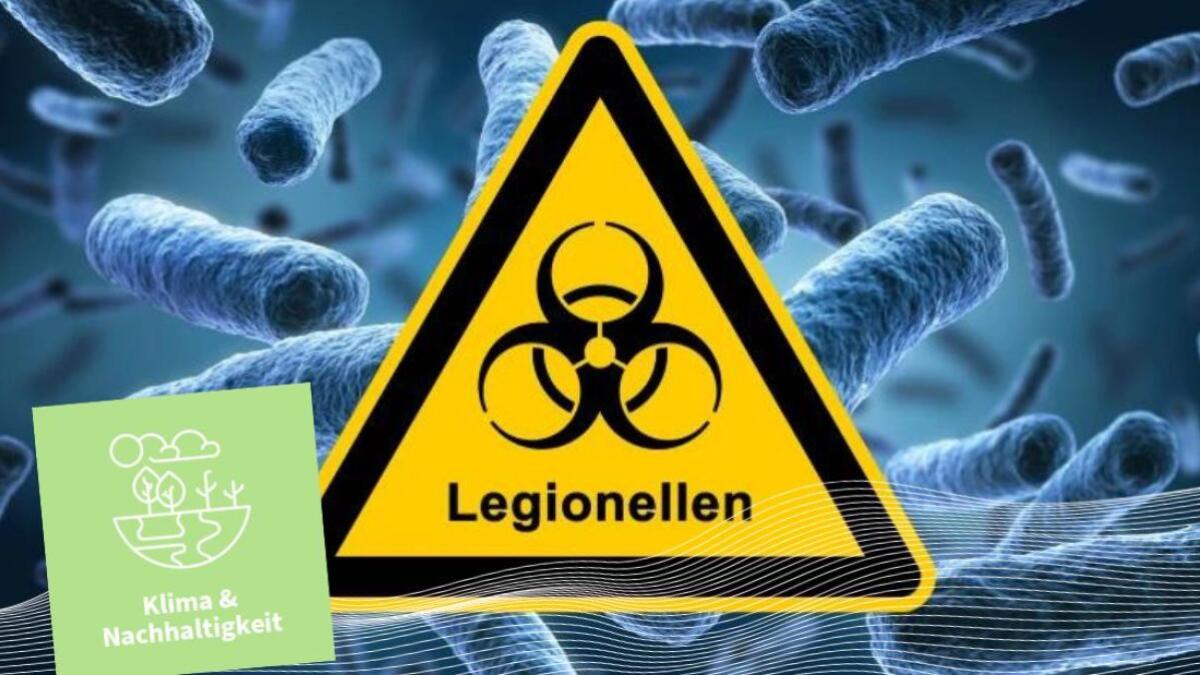 Wie Mieter Legionellen im Wasser vorbeugen können