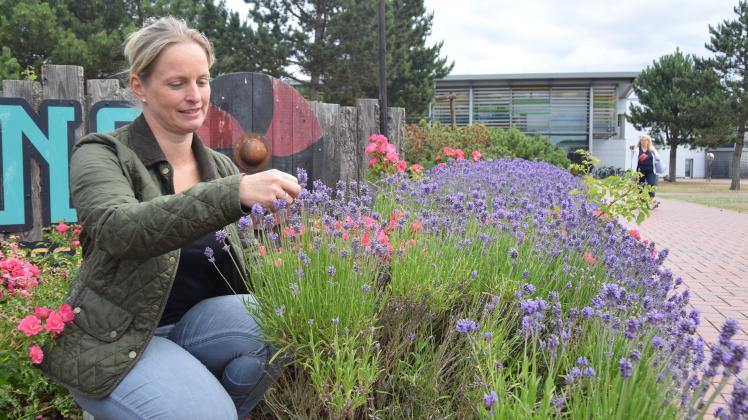 Trockenheit im Ostsee Resort Damp