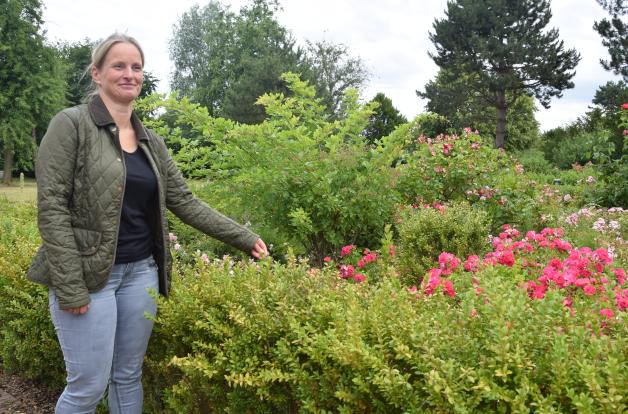 Trockenheit im Ostsee Resort Damp