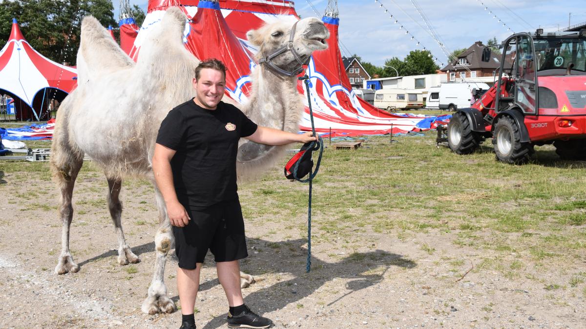 Rendsburg: So setzt sich Circus Paul Busch für das Tierwohl ein