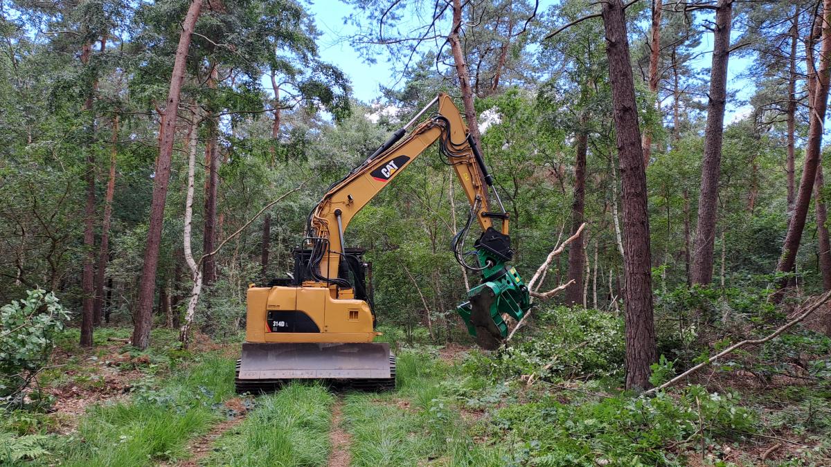 Försterei Sandkrug: Sperrungen durch klimaverträglichen Waldumbau