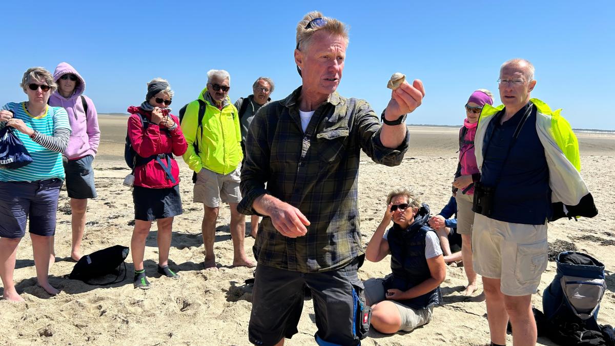 Föhr und Amrum: Wattführer warnen vor Gefahr in Schlick und Priel