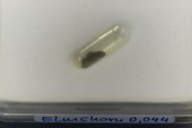 Meteorit aus Elmshorn: Ein kleiner Teil ist jetzt in Neumünster