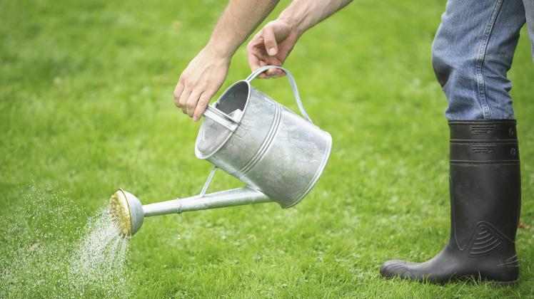 Deshalb sollten Sie Ihren Rasen nur ausnahmsweise gießen