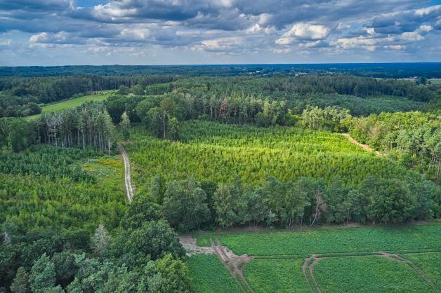 Osnabrück: Fünf spannende Erlebnispfade – Moor, Heide, Mühlenbach