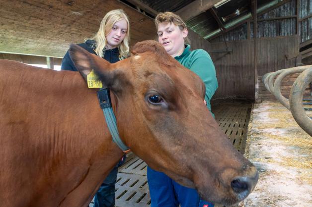Landwirtschaft: Agnes Greggersen bildet Kim Ludwigsen aus