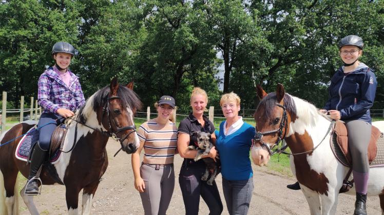Birgit Thode lebt ihren Raum auf Gut Springhoe in Lockstedt